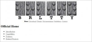 10 Free Screen Readers For Blind Or Visually Impaired Users - Usability ...