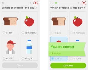 UX Case Study: Duolingo - Usability Geek